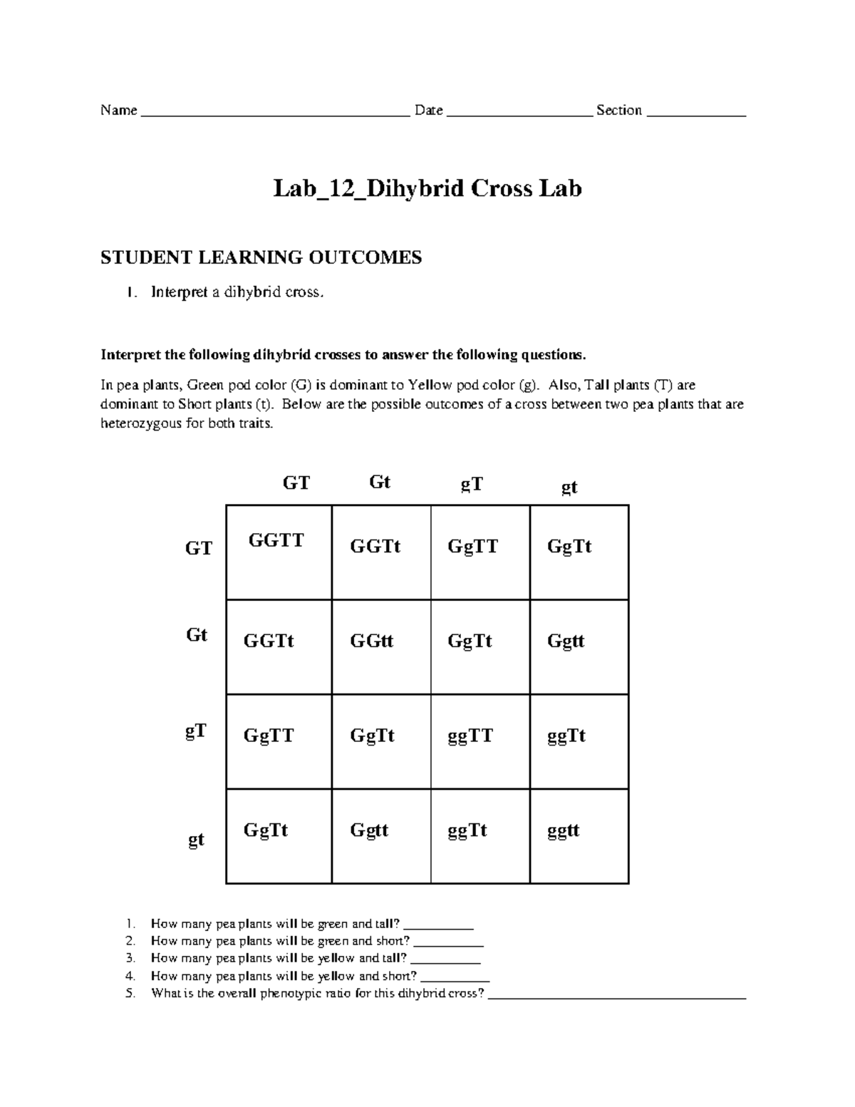 Lab 12 Dihybrid Cross Lab - Name ...