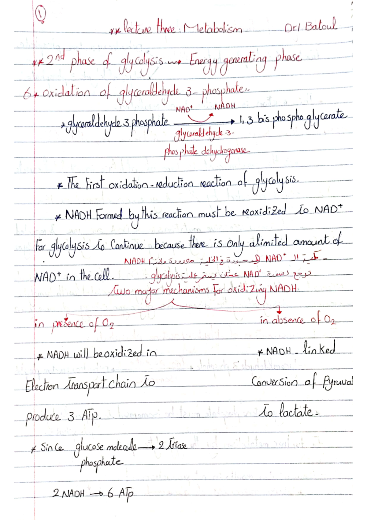 Metabolism lecture 3 - biology - Histology & Biology - Studocu