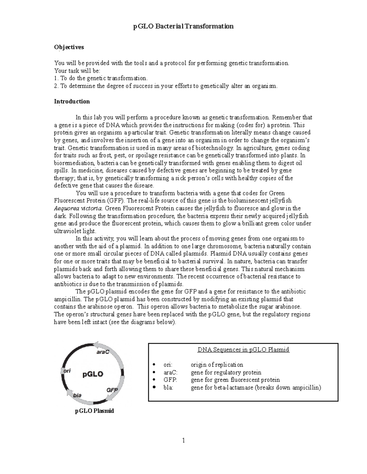 P GLO Transformation Lab 2022 - Objectives You will be provided with ...