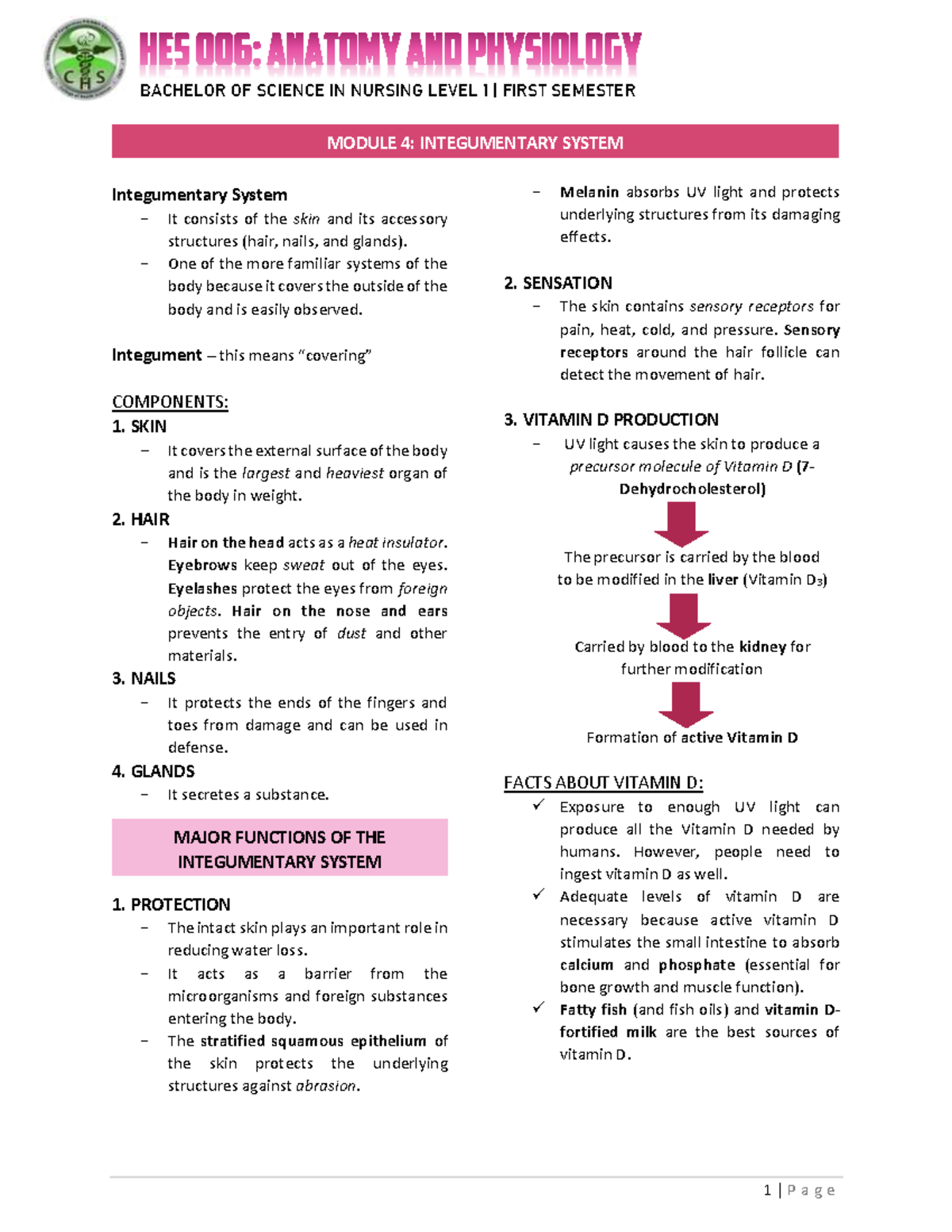 HES-006- Lesson-4 - INTEGUMENTARY SYSTEM - Integumentary System - It ...