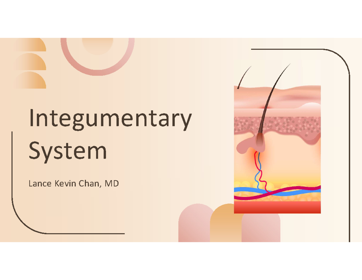 Integuentary-system - Integ Notes - Integumentary System Lance Kevin ...