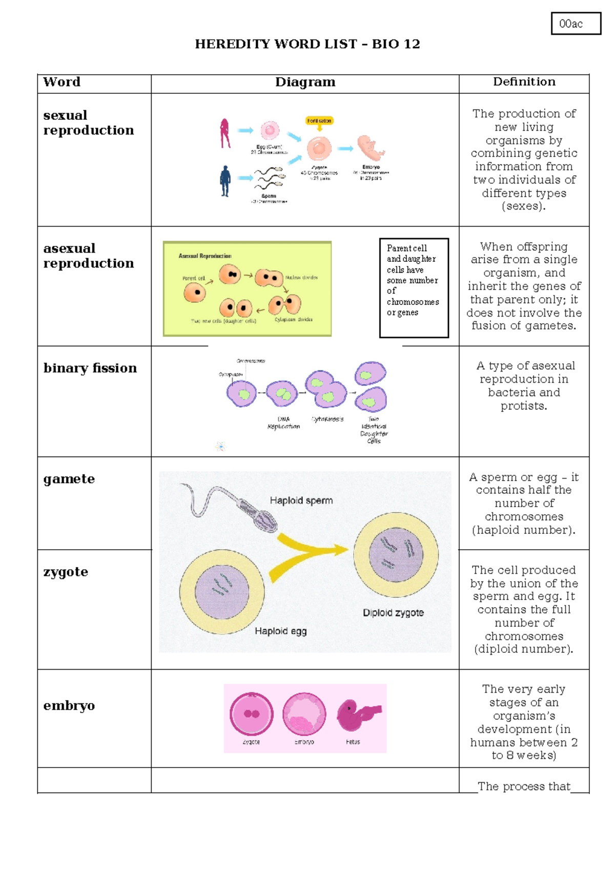 00ac. WORD LIST Heredity - 00ac HEREDITY WORD LIST – BIO 12 Word ...