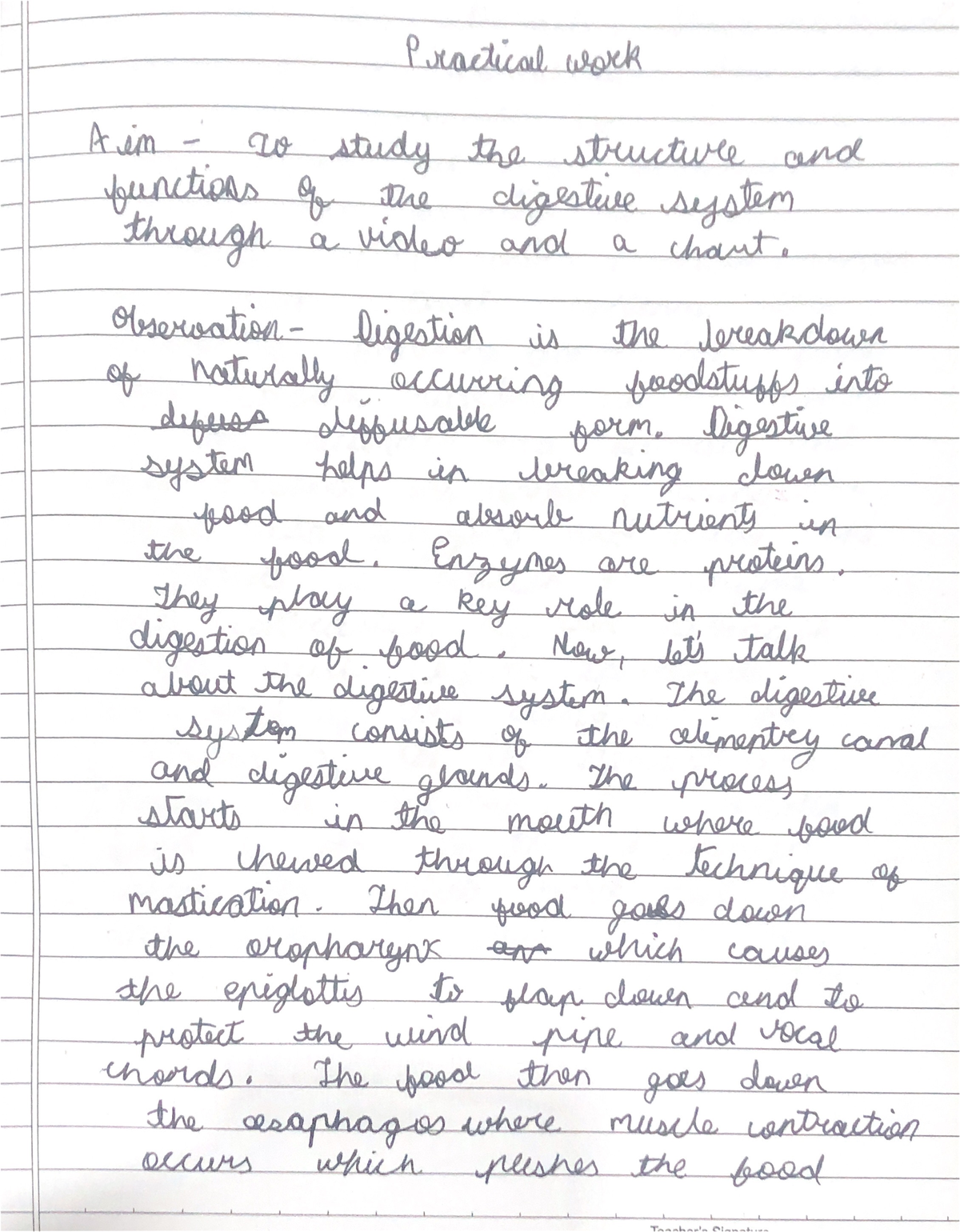 Biology practical work 1 - Practical work A im To study the structure ...