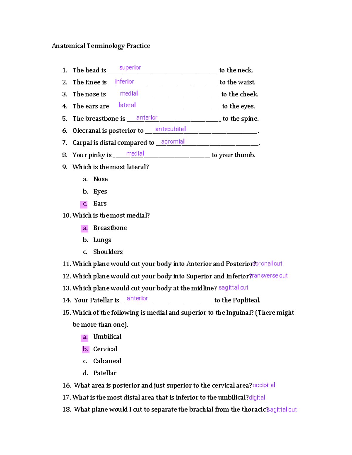 Kami Export - Anatomical Terminology Practice - Anatomical Terminology ...