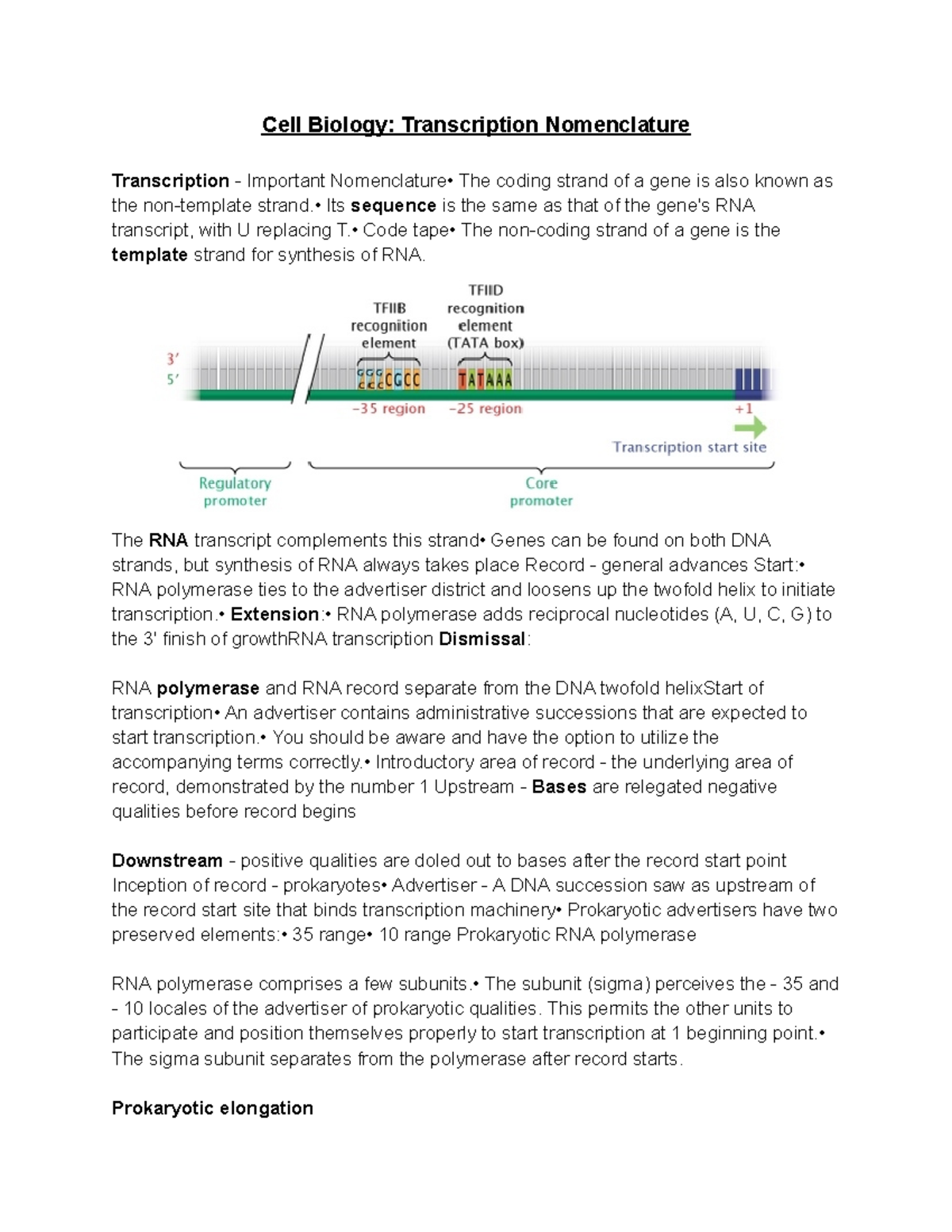 Cell Biology Transcription Nomenclature - Cell Biology: Transcription ...