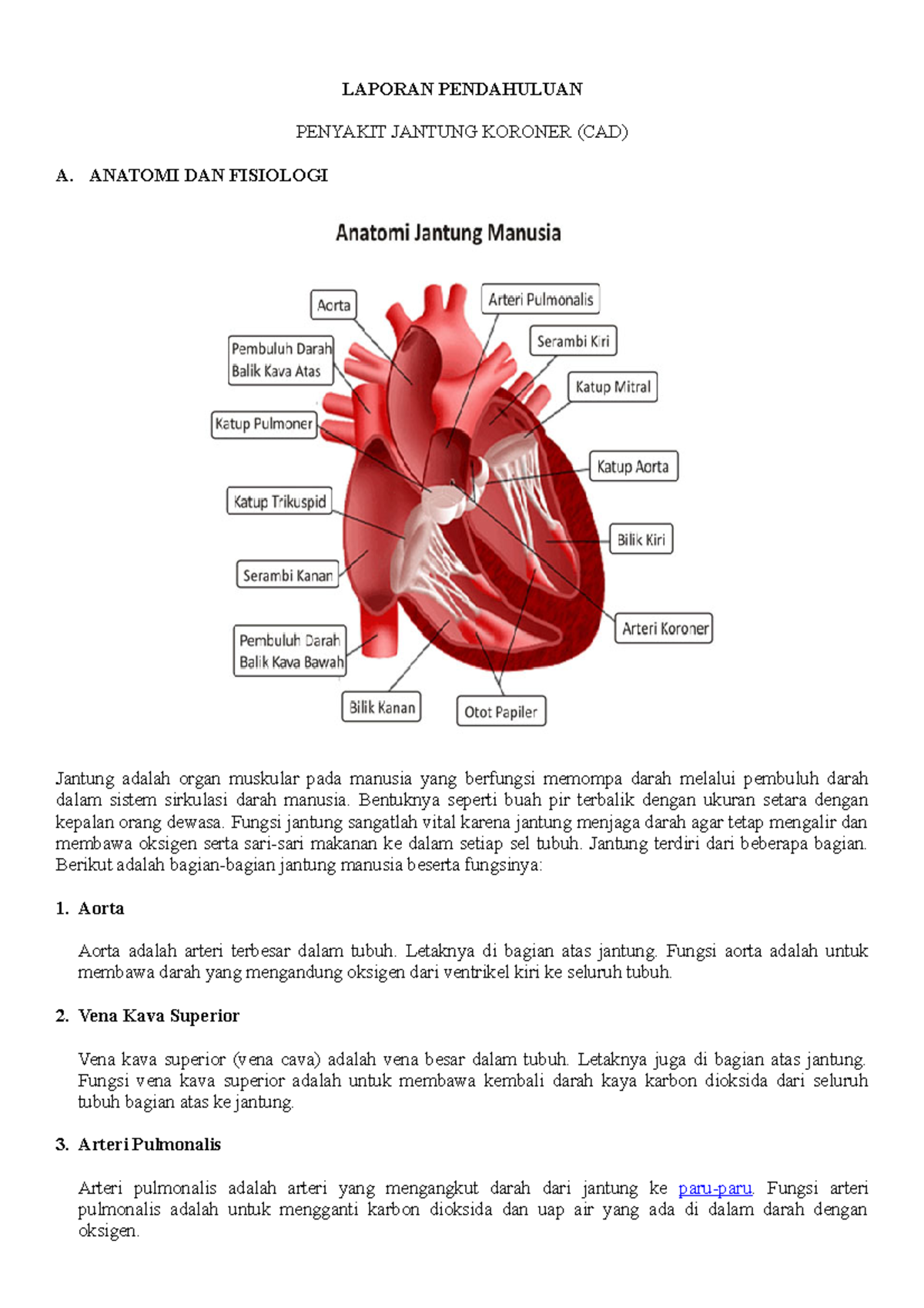 LP Jantung Koroner Akut - LAPORAN PENDAHULUAN PENYAKIT JANTUNG KORONER (CAD) A. ANATOMI DAN ...