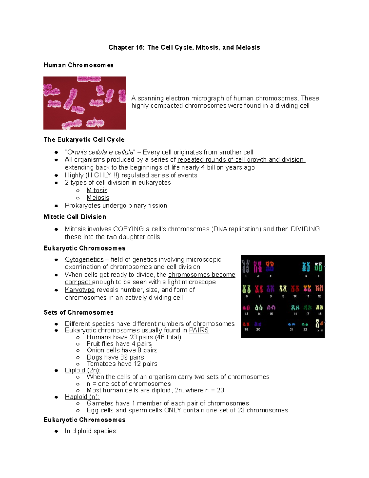 BIO 1200 Chapter 16 Notes - Chapter 16: The Cell Cycle, Mitosis, and ...