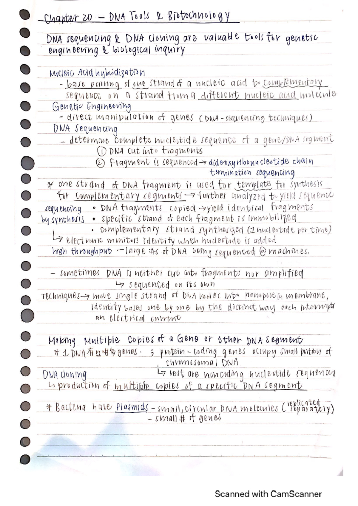 Chapt 20 notes - DNA tools and biotechnology - BIOL_SCI 201 - Studocu