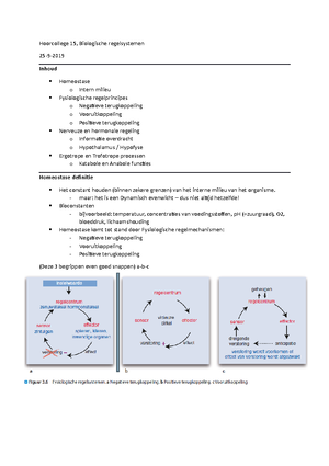 Hoofdstuk 13 - Gaswisseling - Longblaasjes De longen bestaan uit een ...