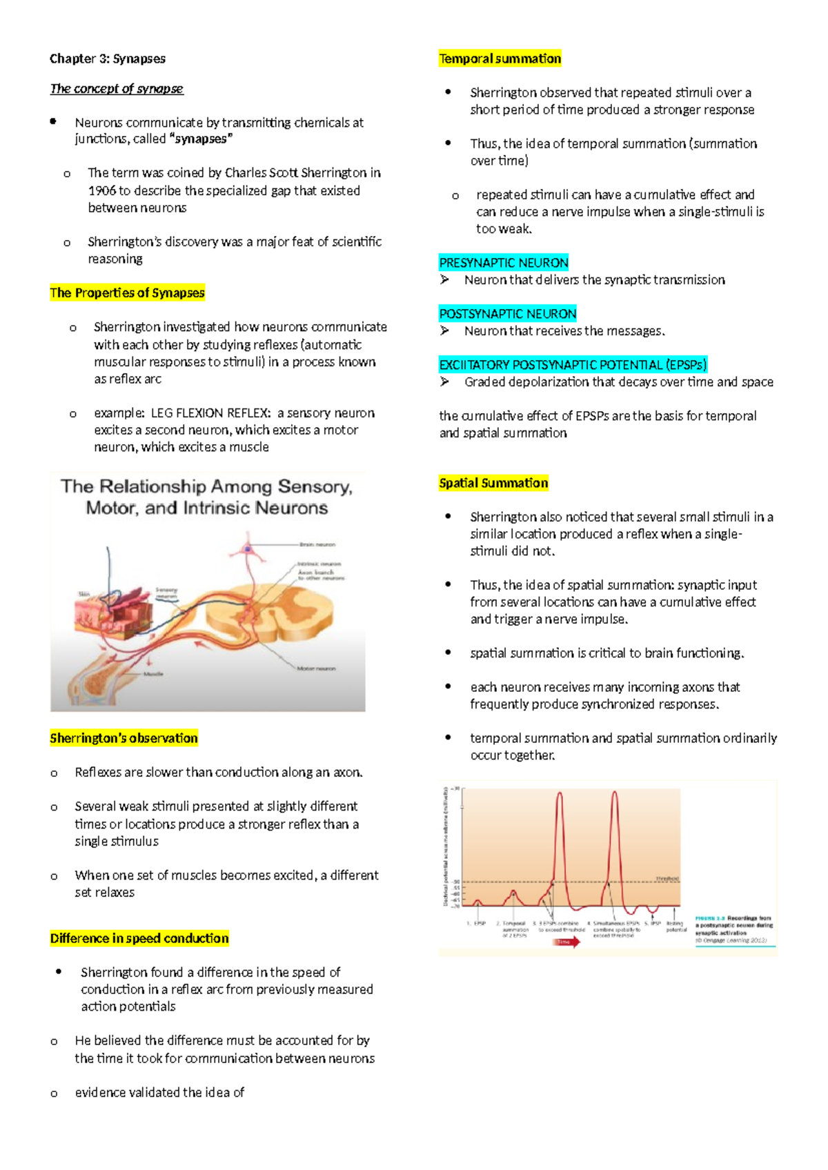 Bio Chap3 Reviewer - Chapter 3: Synapses The concept of synapse Neurons ...