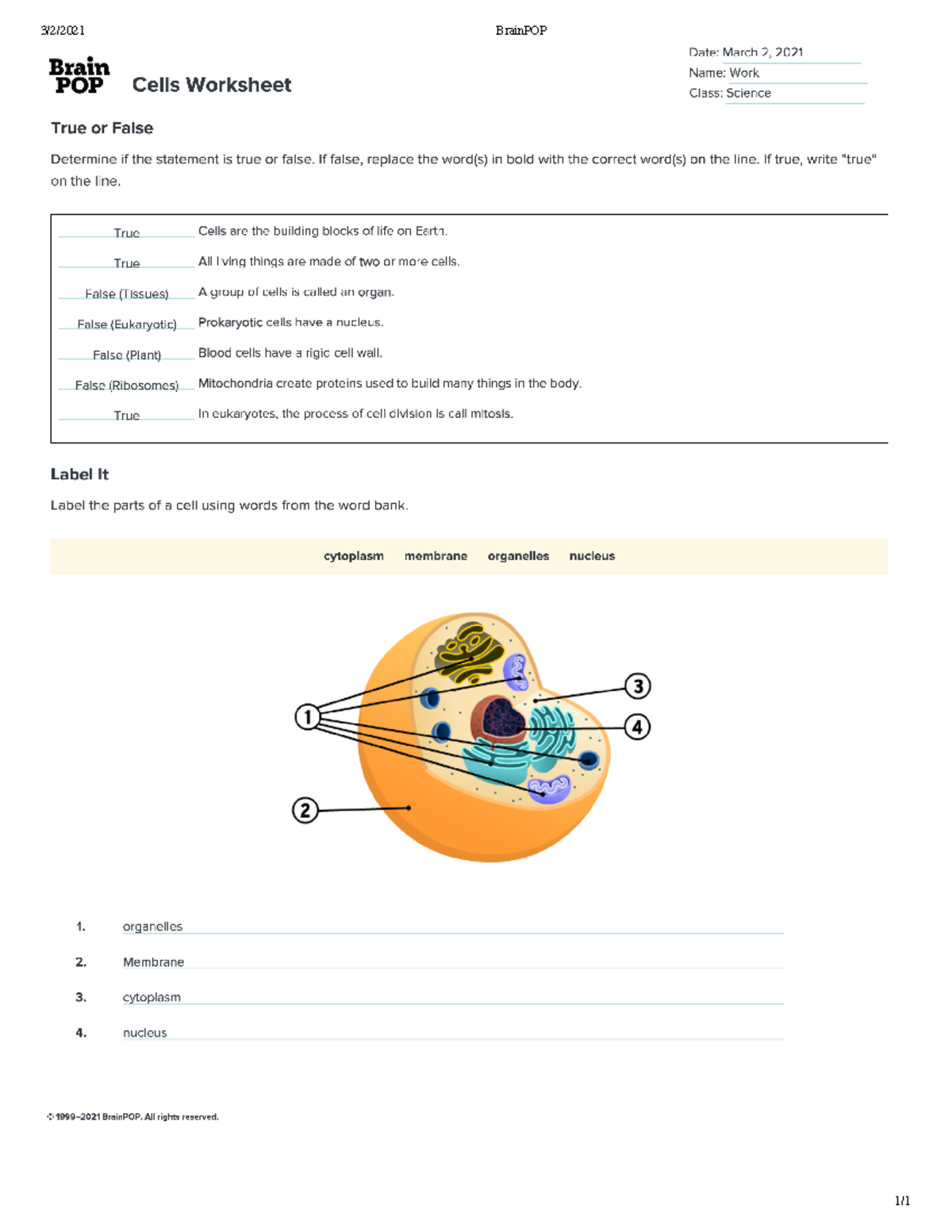 Brain POP - Some sheet - A320 - 3/2/2021 BrainPOP 1/ - Studocu