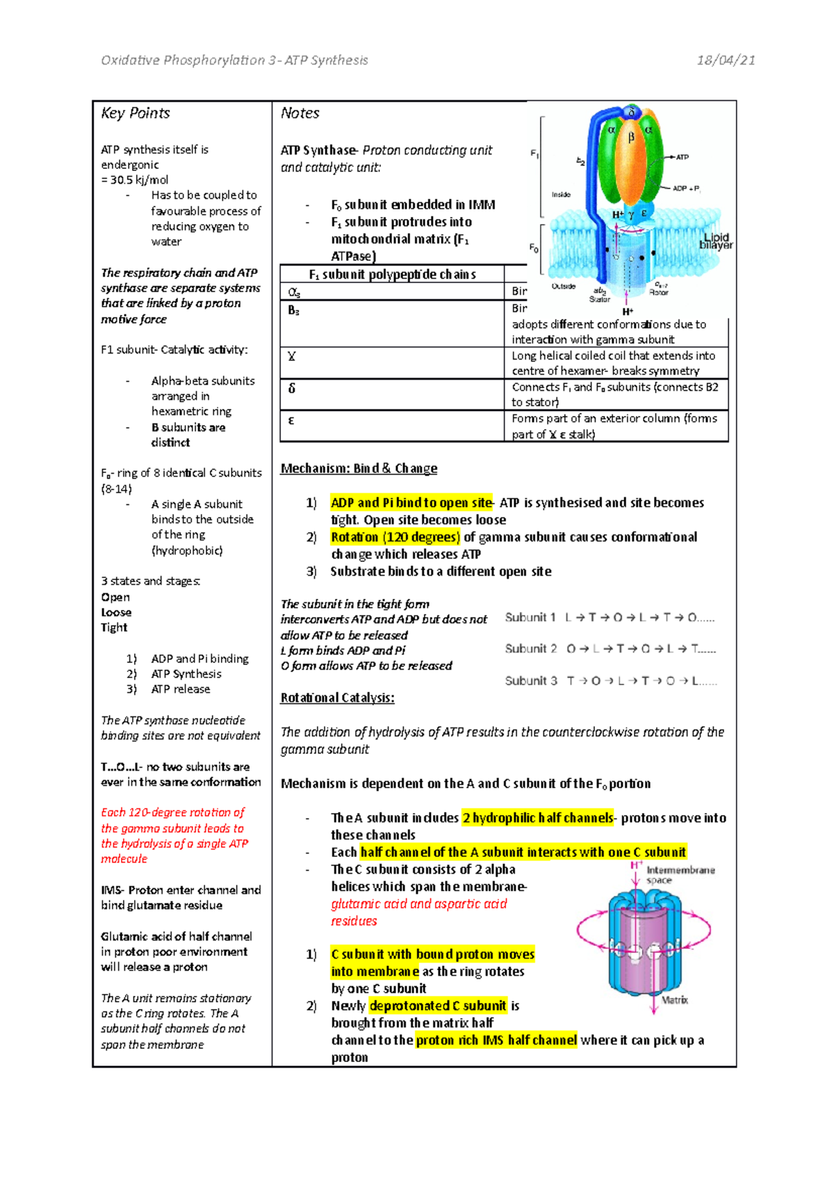 ATP Synthesis - ..O..- no two subunits are ever in the same ...