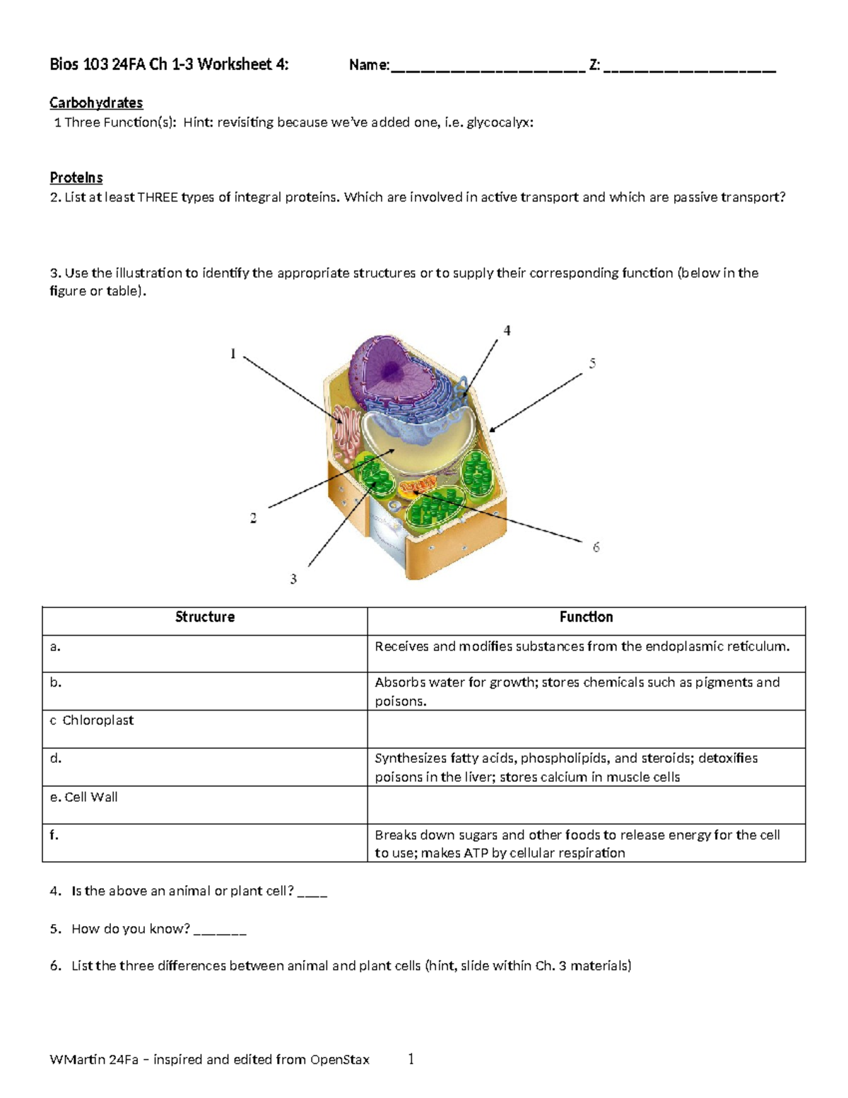 Ch. 1-3 Wkst 4 Cell Function and Transport student - Bios 103 24FA Ch 1 ...