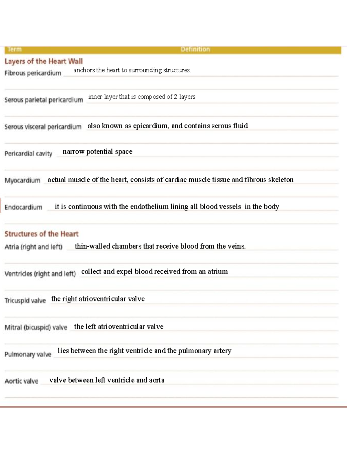 Unit 17: Cardiovascular System Part I: The Heart Lab 17 - BIOL 2402 ...