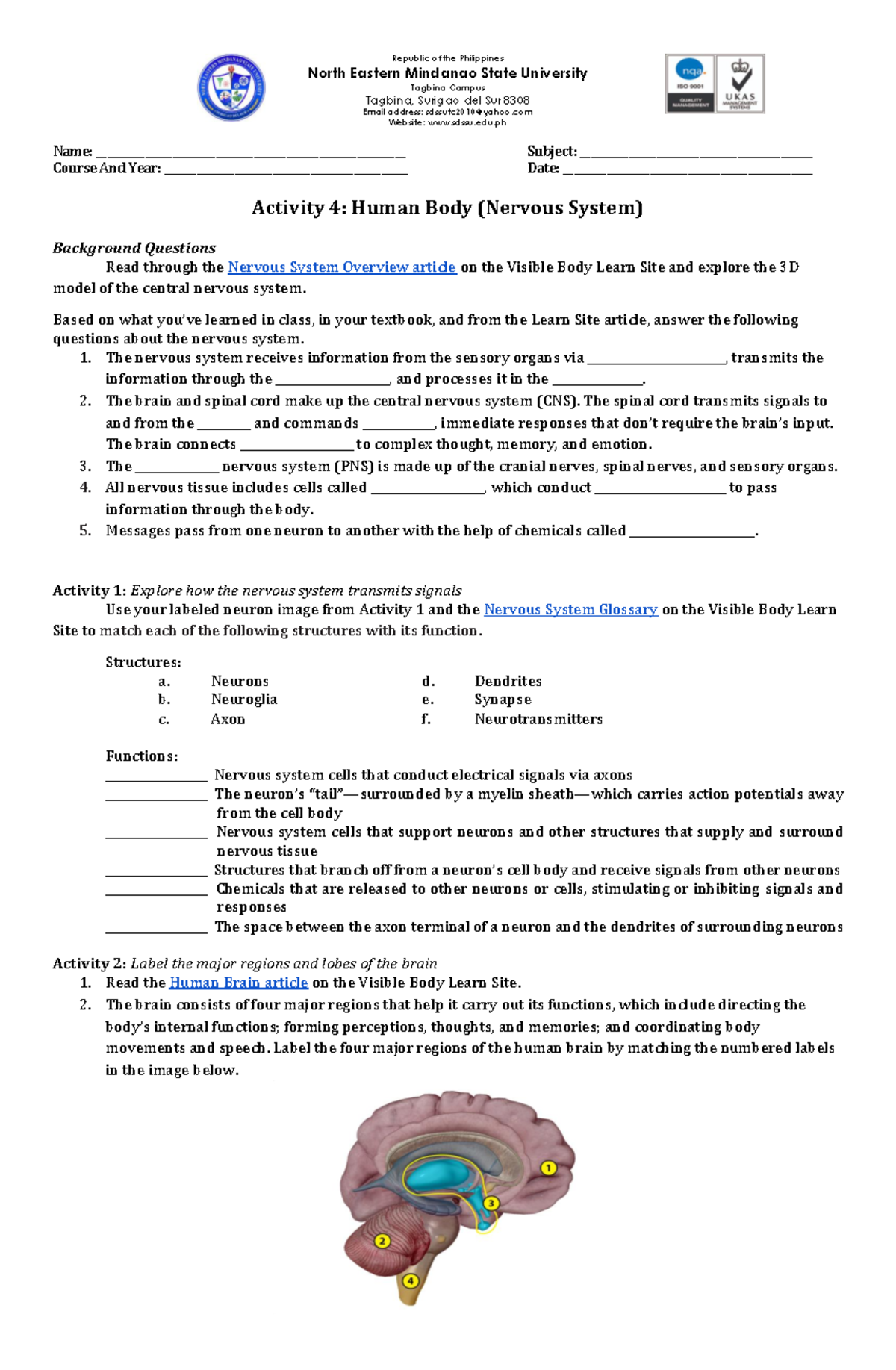 4-Nervous-System - A laboratory activity of anatomy and physiology ...