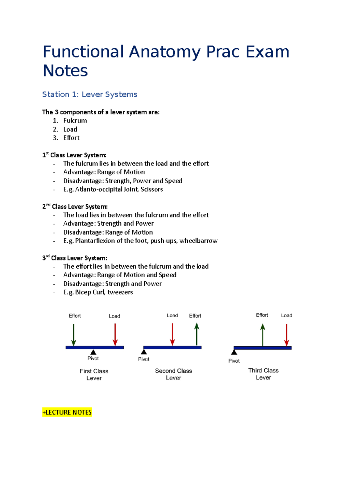Functional Anatomy Prac Exam Notes - Functional Anatomy Prac Exam Notes ...