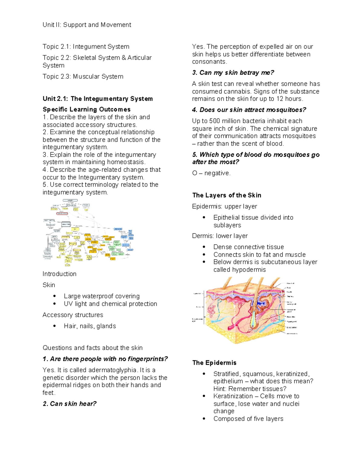 Unit 2 - Anatomy and Physiology (ANPH 1001) - Topic 2: Integument ...