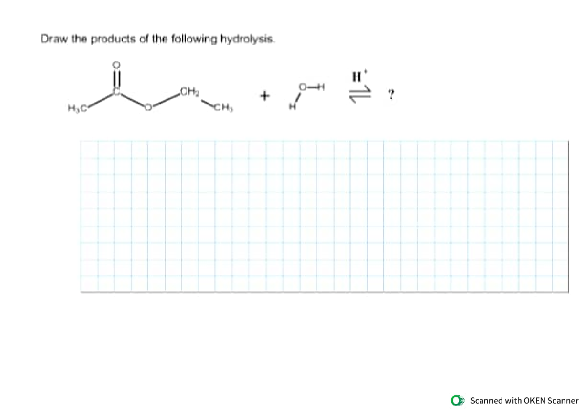 Chemistry 6 - Hydrolysis, N- Methyl- N- Propyl- acetamide - Organic ...