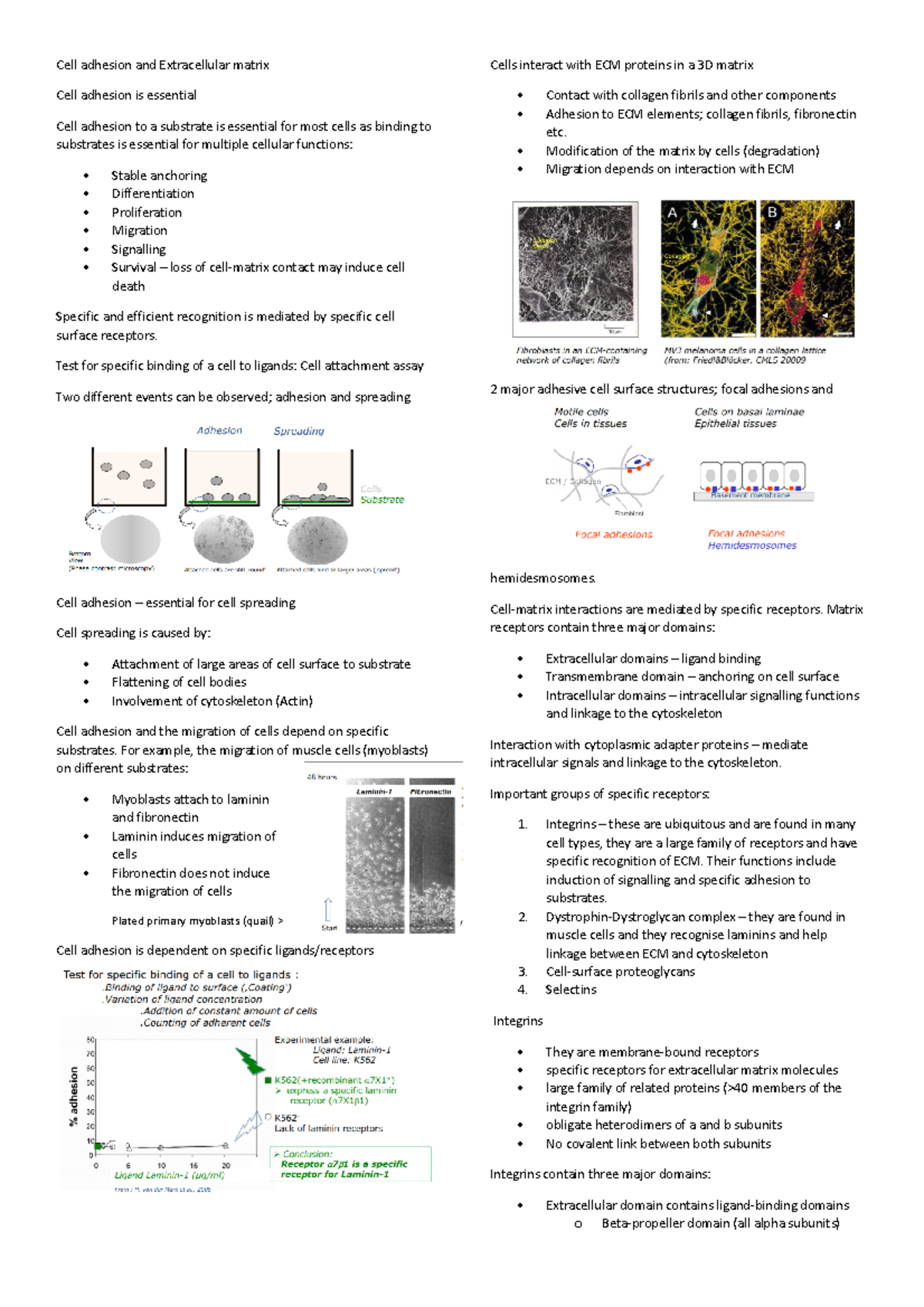 Cell adhesion and Extracellular matrix - Test for specific binding of a ...