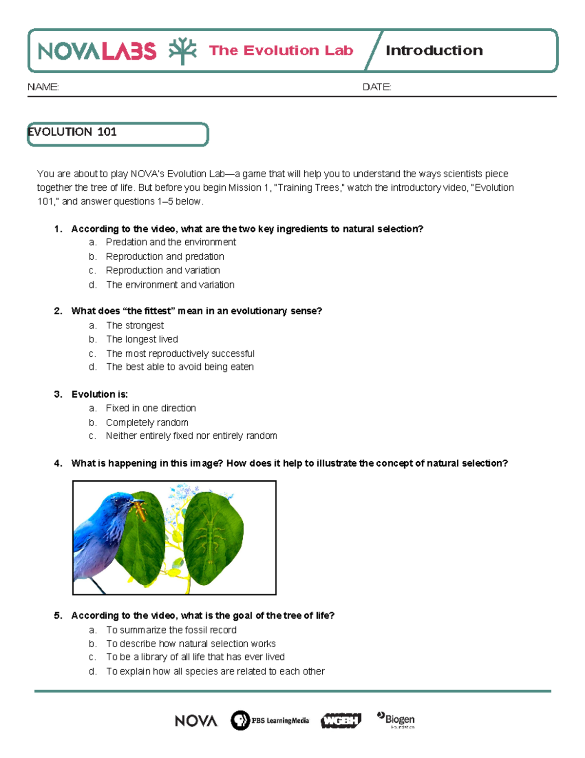 NOVA Evolution Lab Worksheets - EVOLUTION 101 The Evolution Lab ...