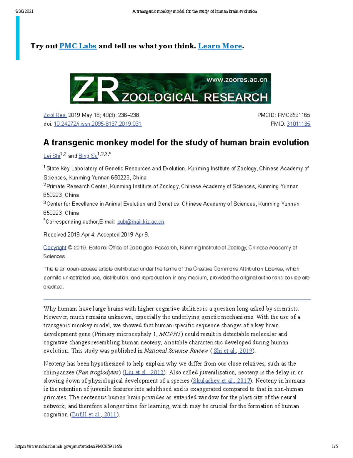 A transgenic monkey model for the study of human brain evolution - Zool ...