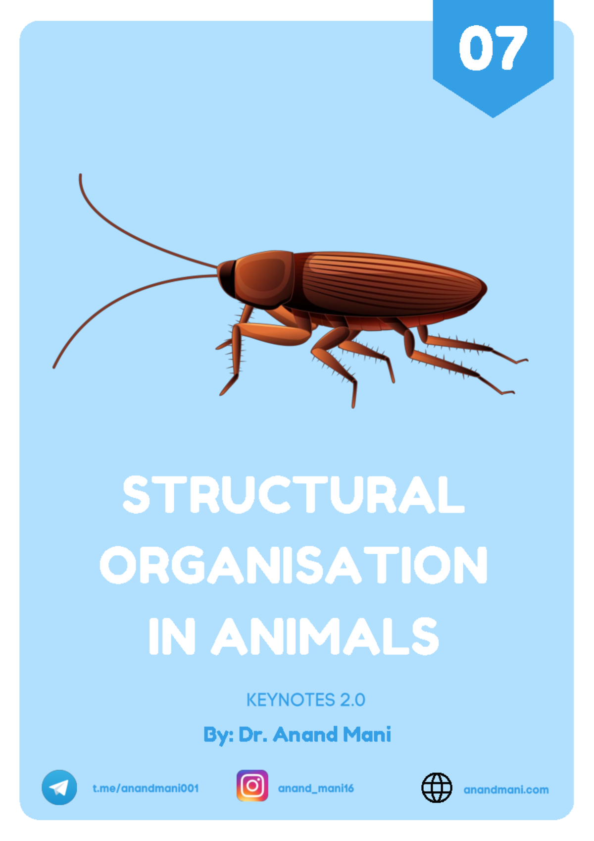 7. Structural Organisation IN Animals - STRUCTURAL ORGANISATION IN ...