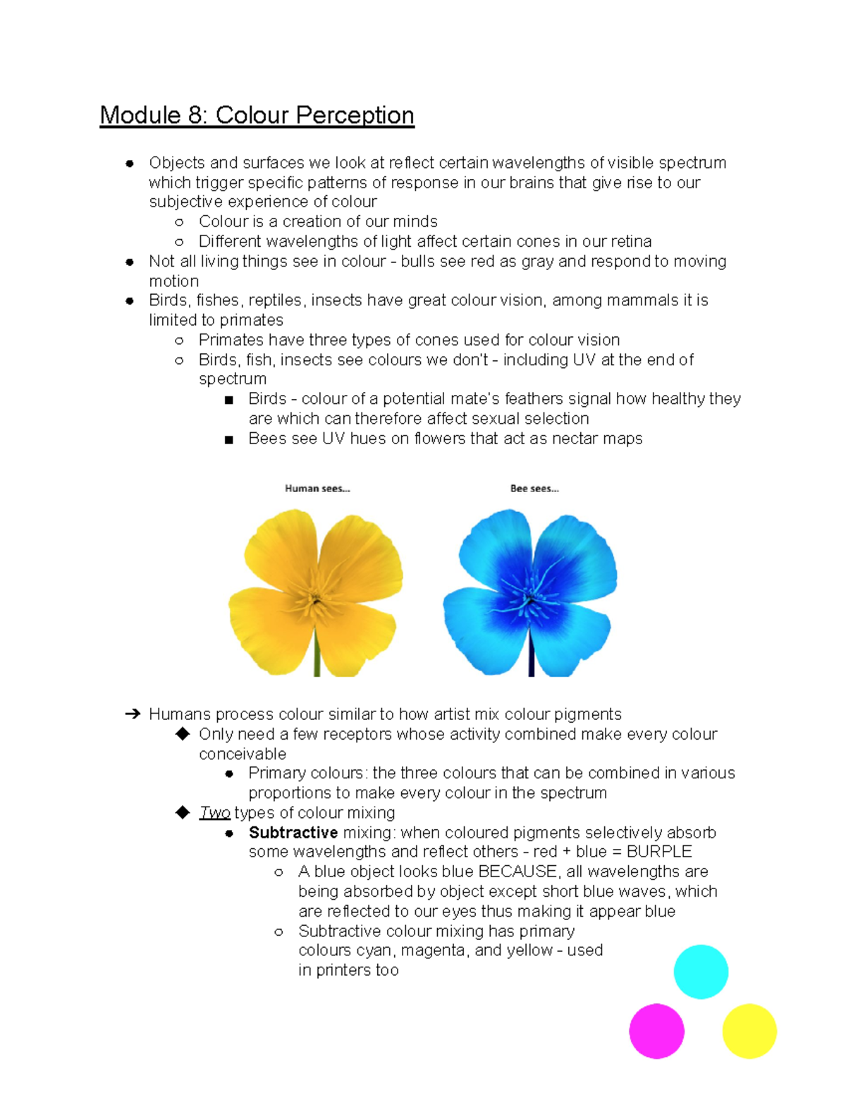 Module 8 Colour Perception - Module 8: Colour Perception Objects and ...