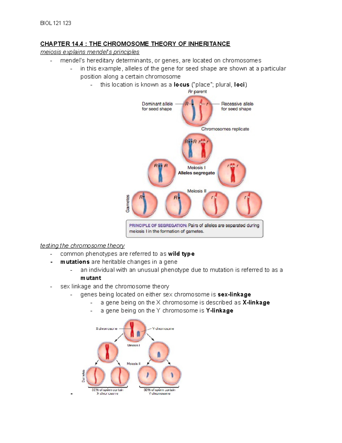 Lecture 4 Prereading - CHAPTER 14 : THE CHROMOSOME THEORY OF ...