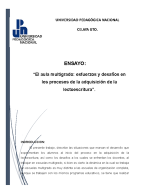 20 textos de comprension lectora 1o y 2o grado - Comprension y ...
