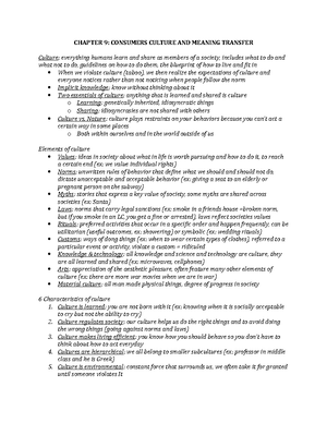 Chapter 4 BMKT 351 - Notes for ualbany class - CHAPTER 4 Consumer as a ...