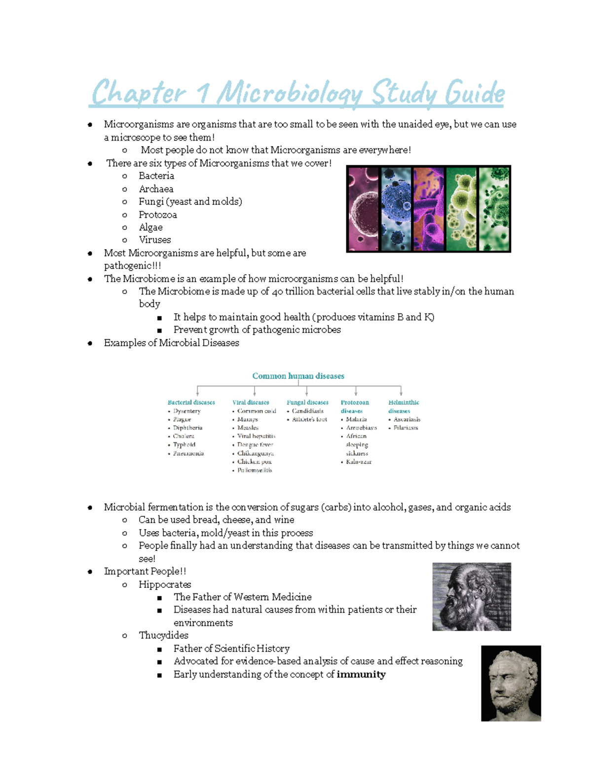 Chapter 1 study guide - Char 1 Micol Stu Gud Microorganisms are ...