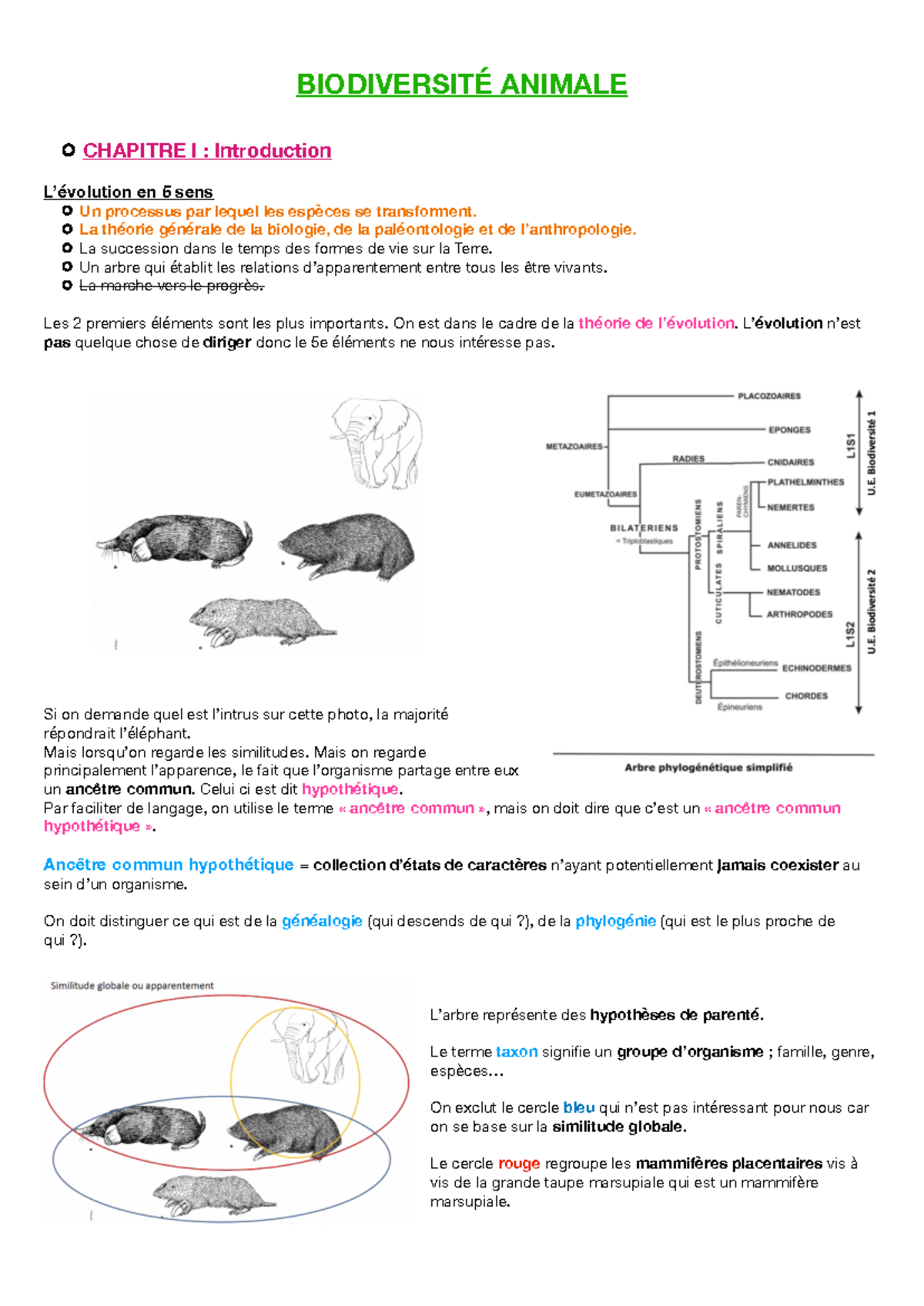 Cours Entier-1 - Il contient les chapitres: La introduction, Plans d ...
