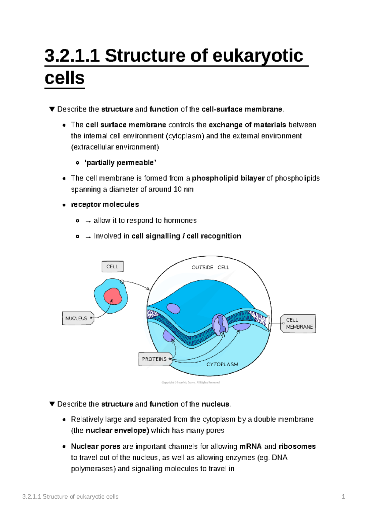 3 2 1 1 Structure of eukaryotic cells - 3.2.1 Structure of eukaryotic ...