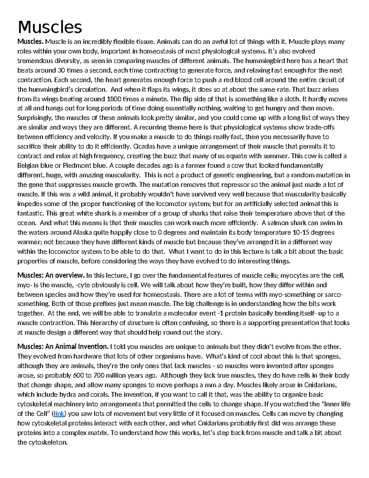 13 muscles transcript - hdffhsdjas - Muscles Muscles. Muscle is an ...