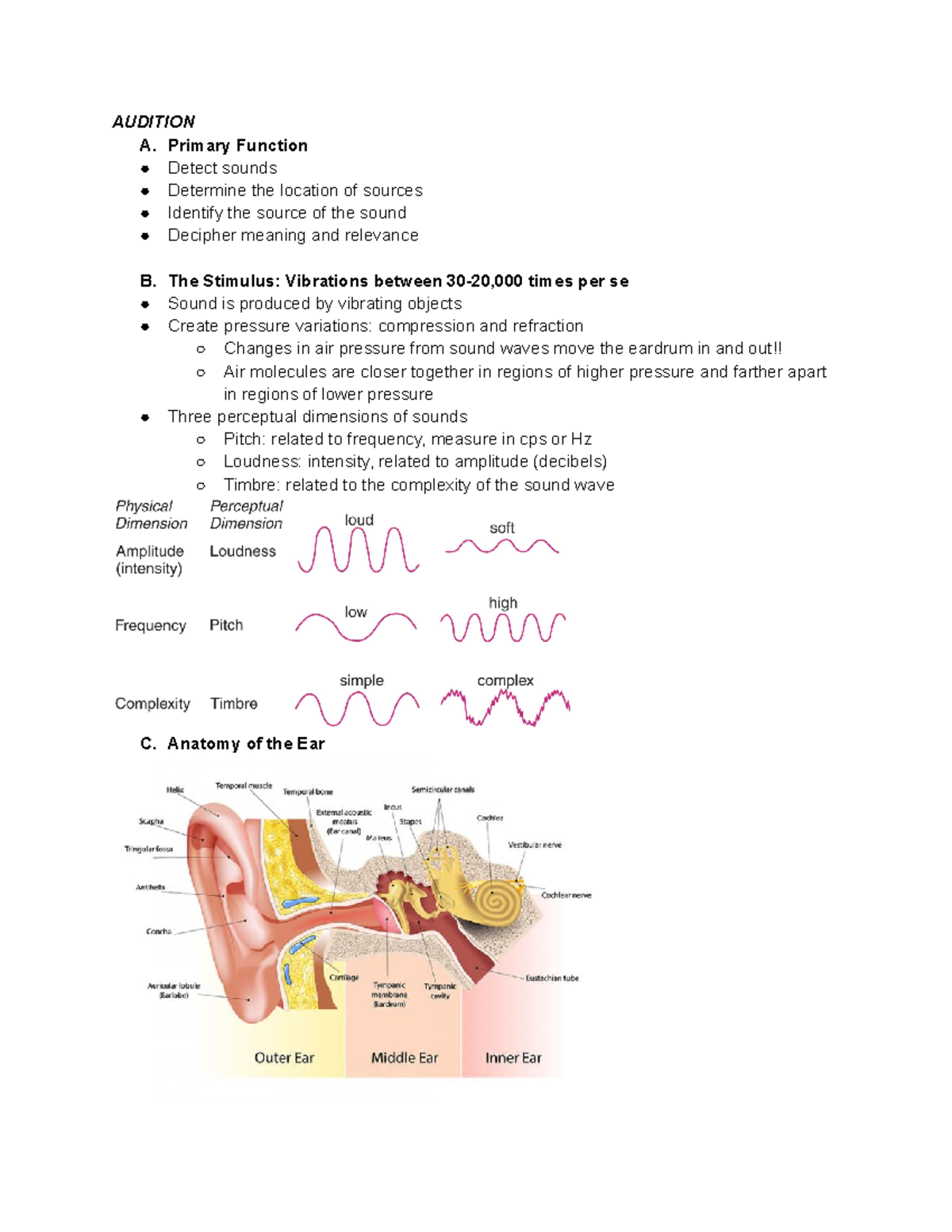 BBB Chapter 6 Audition - AUDITION A. Primary Function Detect sounds ...