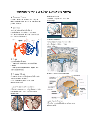 Inervação motora da cabeça e do pescoço - Inervaçã motor d cabeç d ...