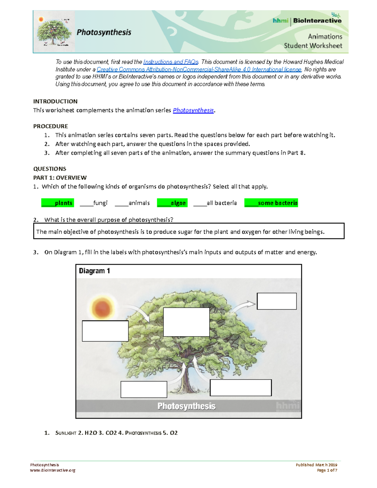 Biology Photosynthesis Biointeractive - To use this document, first ...