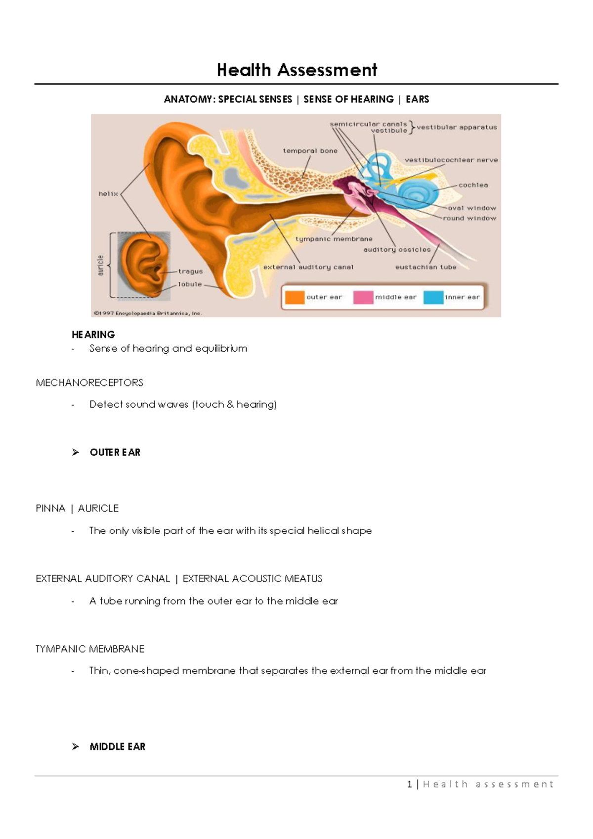 Health assessment - Review notes - Health Assessment ANATOMY: SPECIAL ...