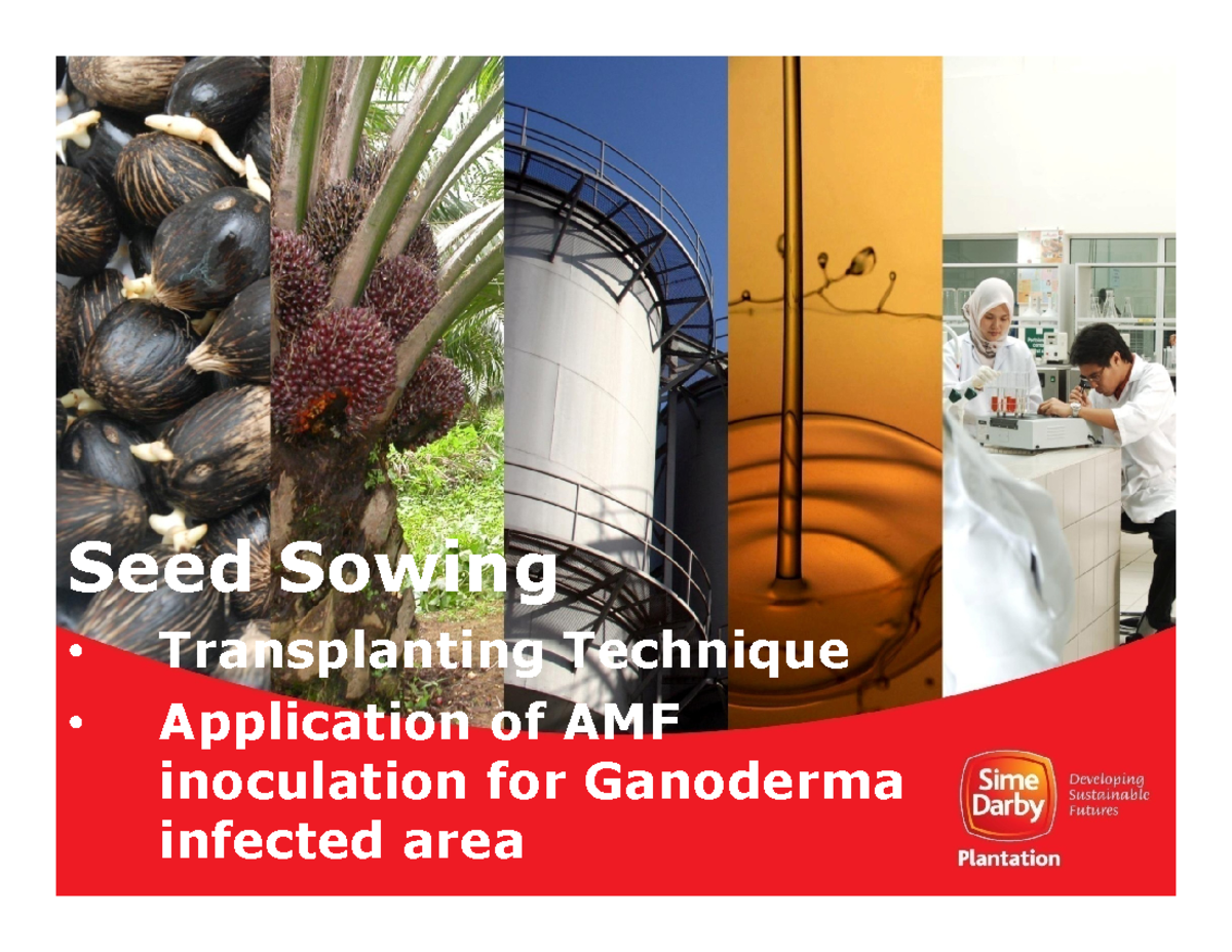 5). Seed sowing 13 - study - Seed Sowing • Transplanting Technique ...