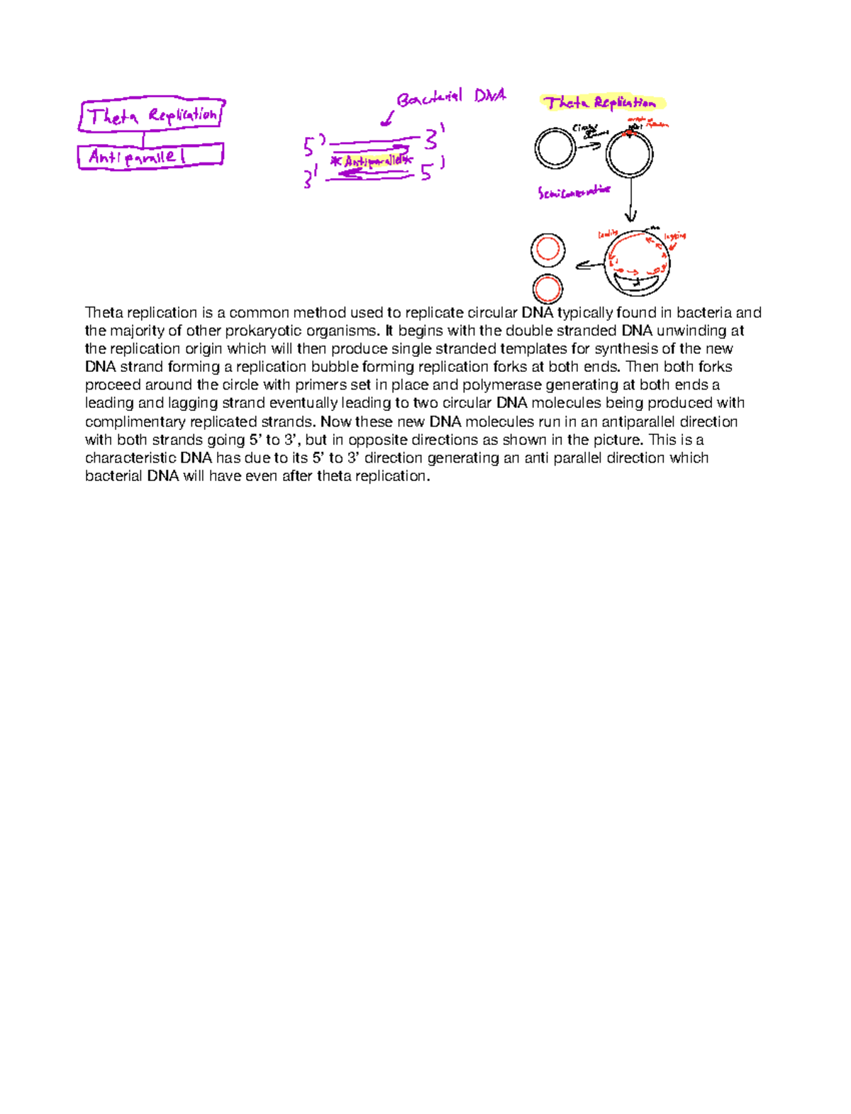 Chapter 12 Concept Map - Theta replication is a common method used to ...