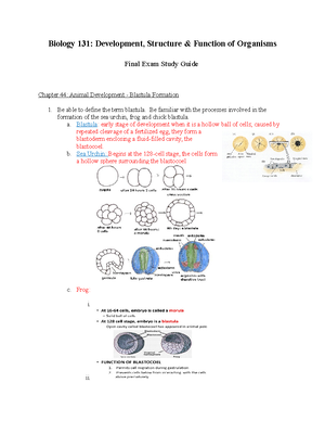 Biology 131-Exam 3 Study Guide 2019 v2 (1)[3158] - Biology 131 ...