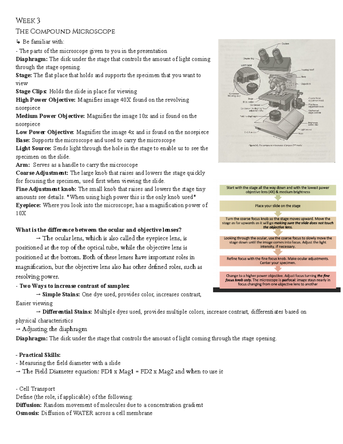 Bio Lab 3 - Bio Lab 3 - Week 3 The Compound Microscope ↳ Be familiar ...