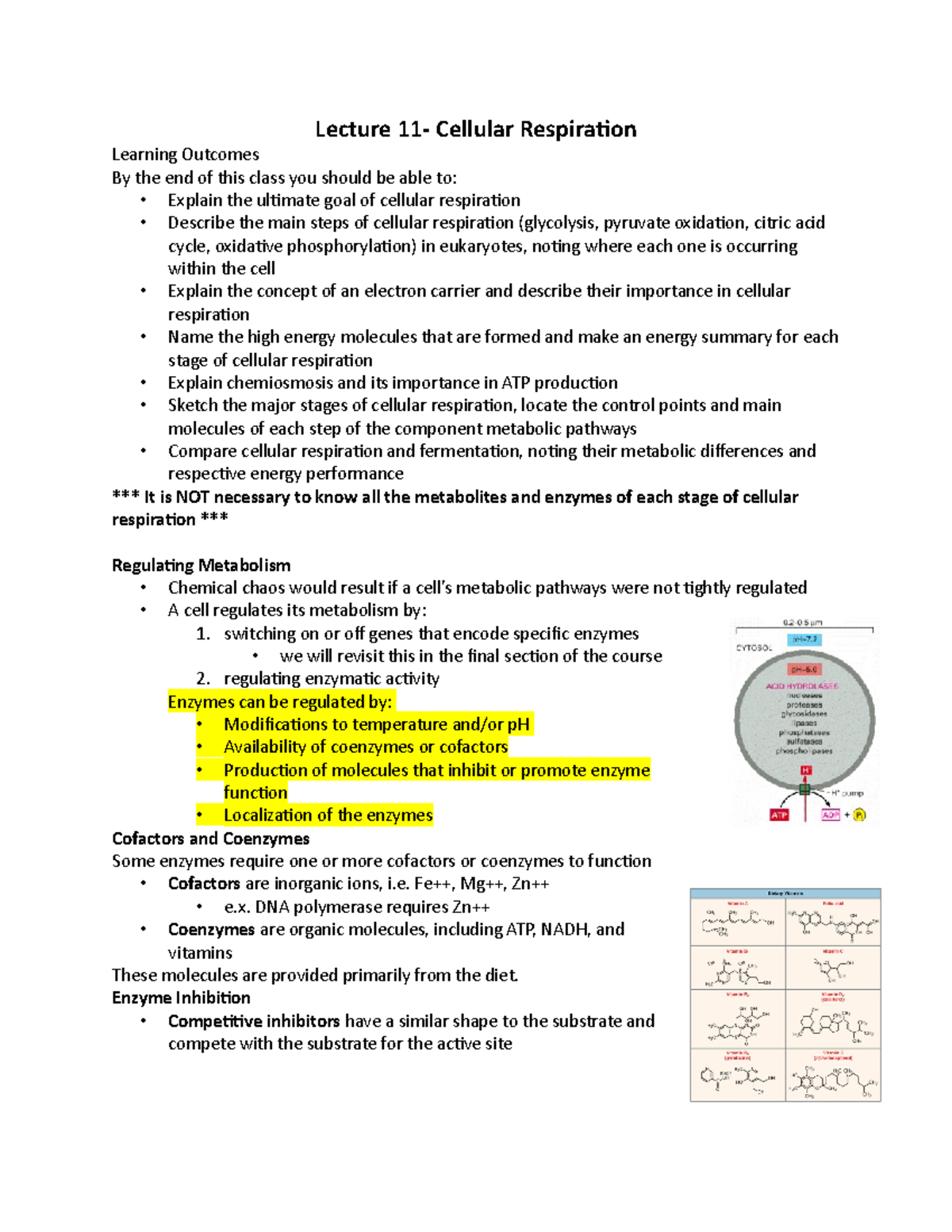Lecture 11- Cellular Respiration - Lecture 11- Cellular Respiration ...