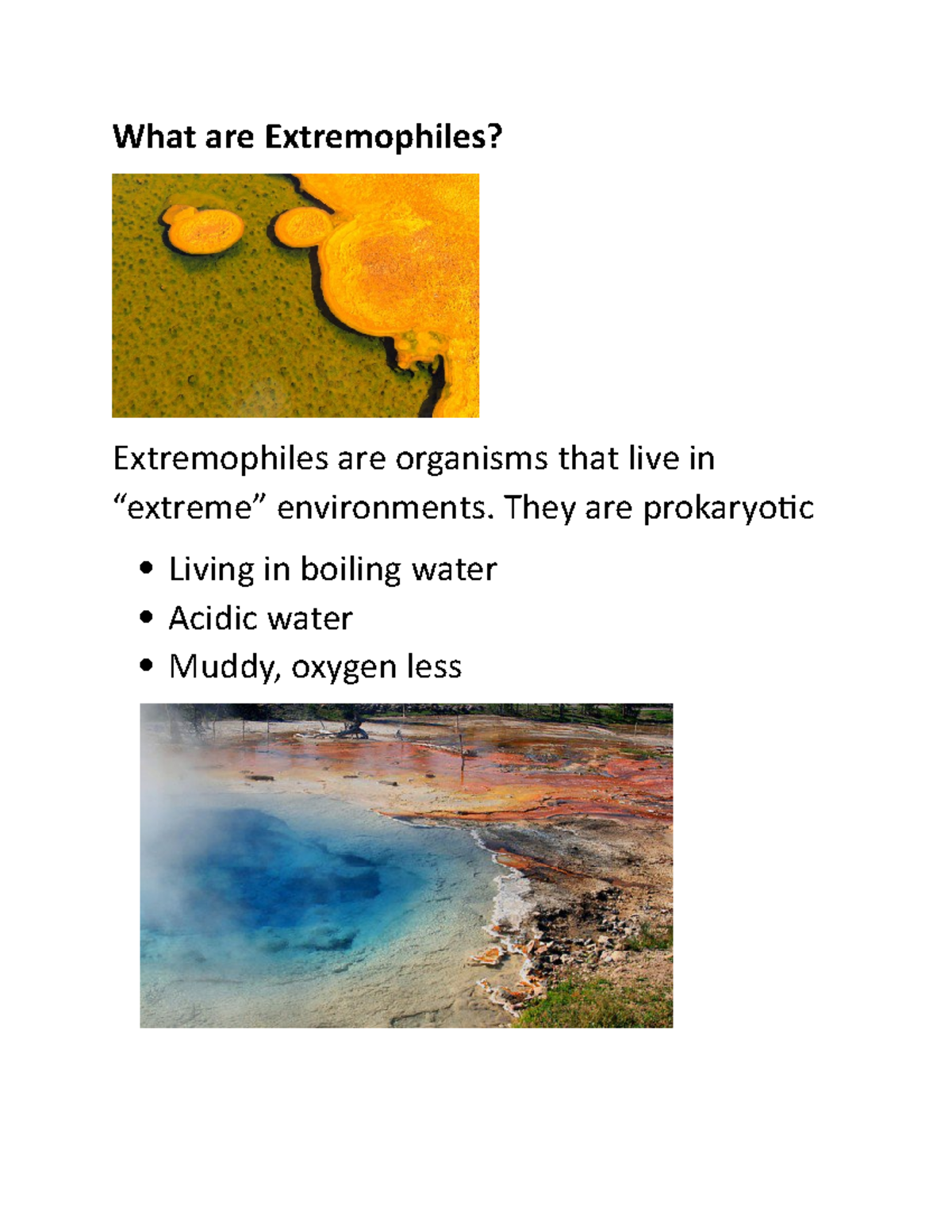 What are Extremophiles with pictures - What are Extremophiles ...