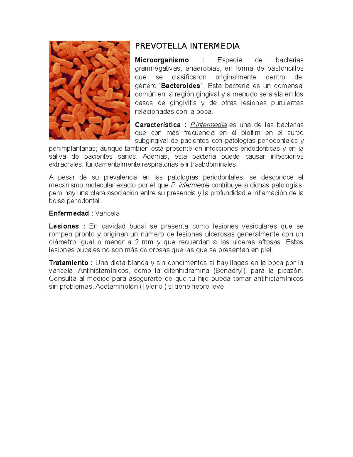 Microbiologia - PREVOTELLA INTERMEDIA Microorganismo : Especie de ...