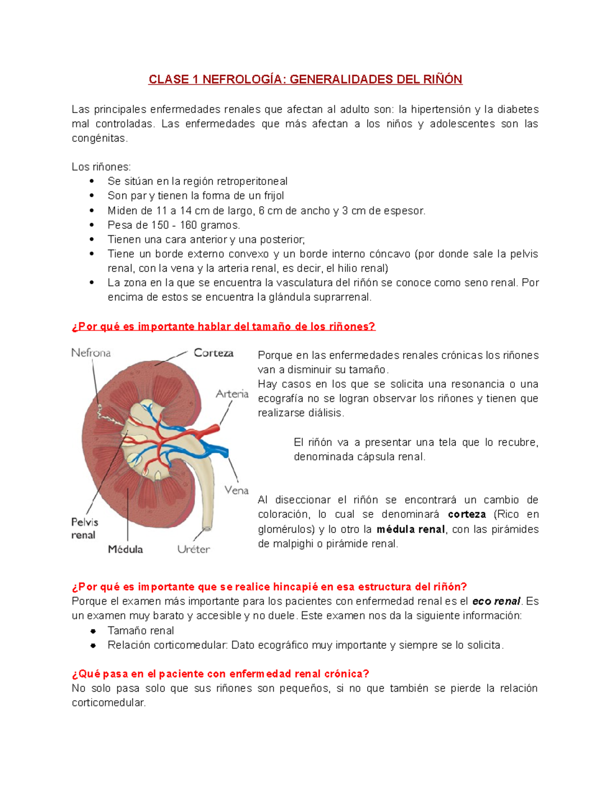 Clase 1 - 1P Nefrología - CLASE 1 NEFROLOGÍA: GENERALIDADES DEL RIÑÓN ...