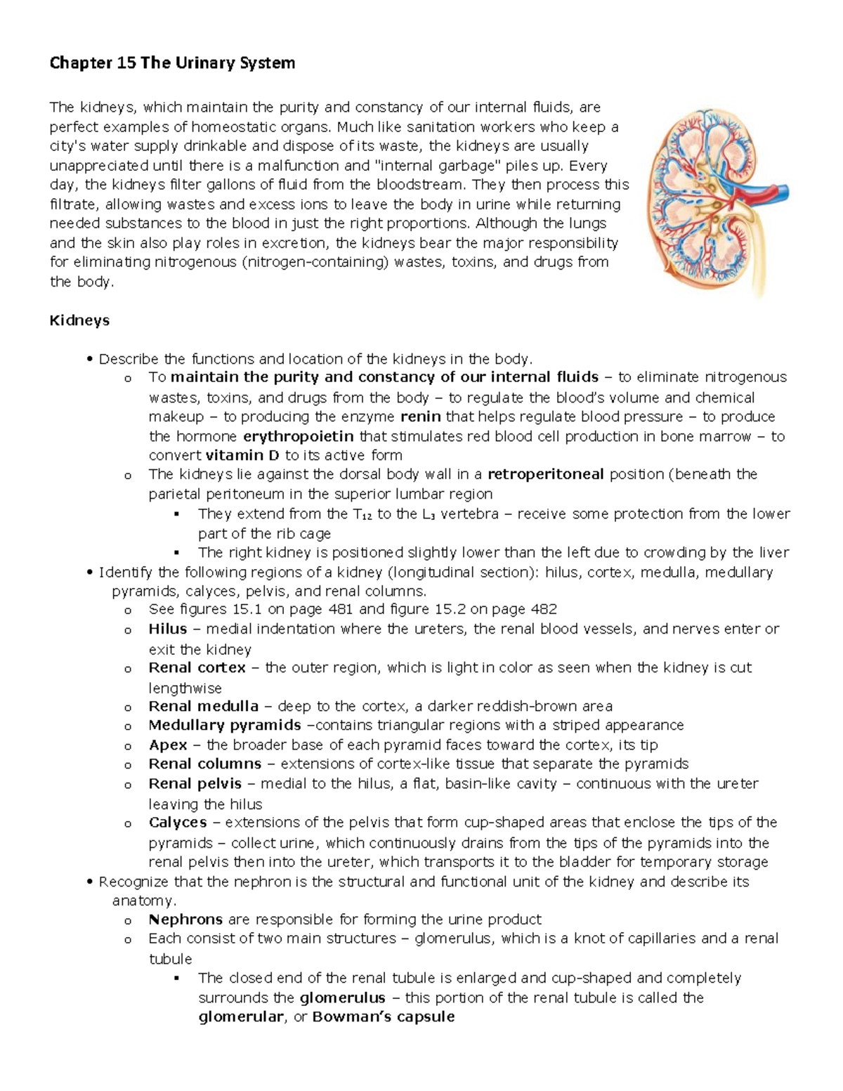 Chapter 15 The Urinary System - Chapter 15 The Urinary System The ...
