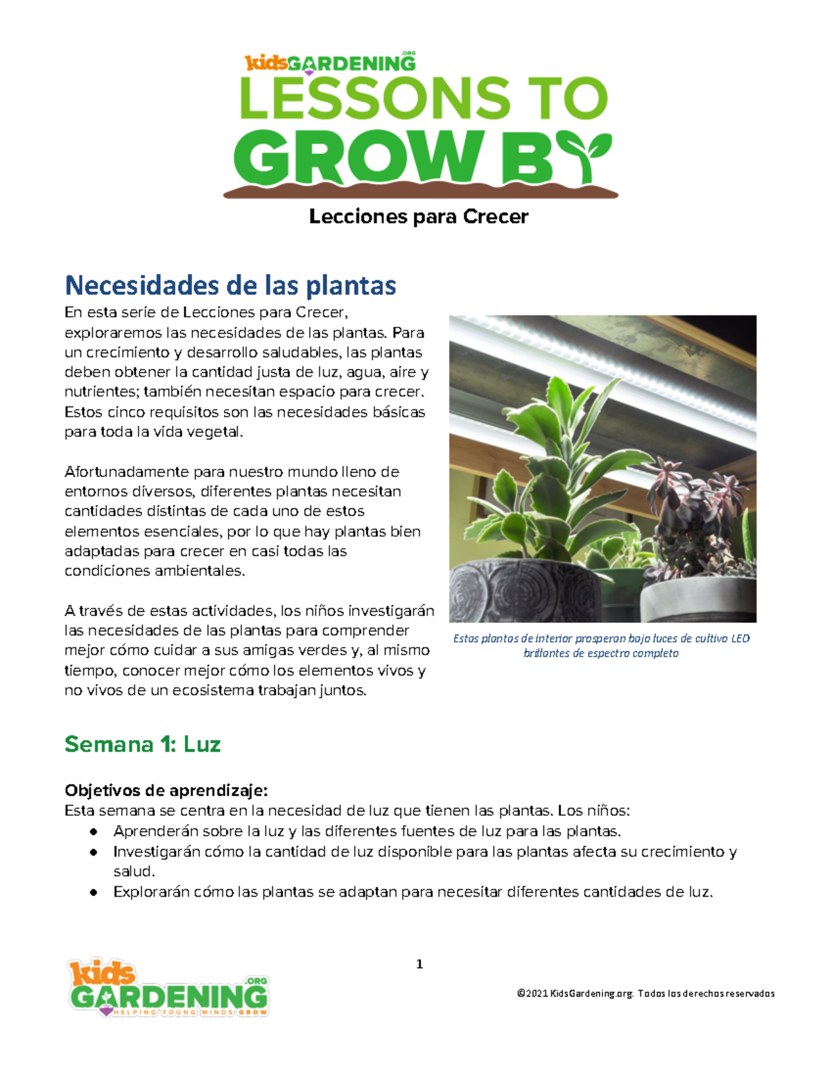 Planta-Necesidades-Semana-1-Luz-Completas - 1 Lecciones para Crecer ...