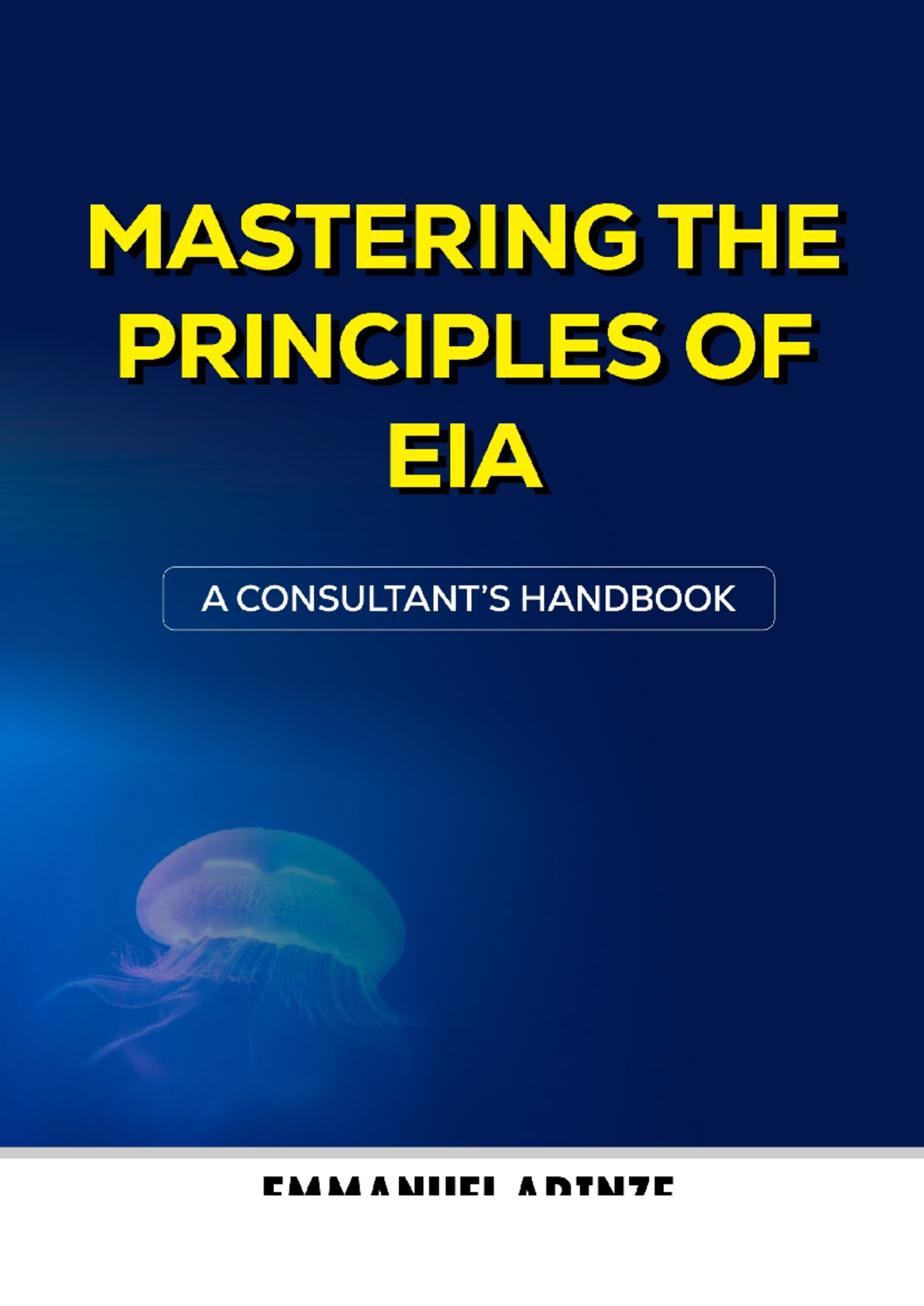 Mastering-the-principles-of-eia-a-consultant-s-handbook 65feff1b 080648 ...