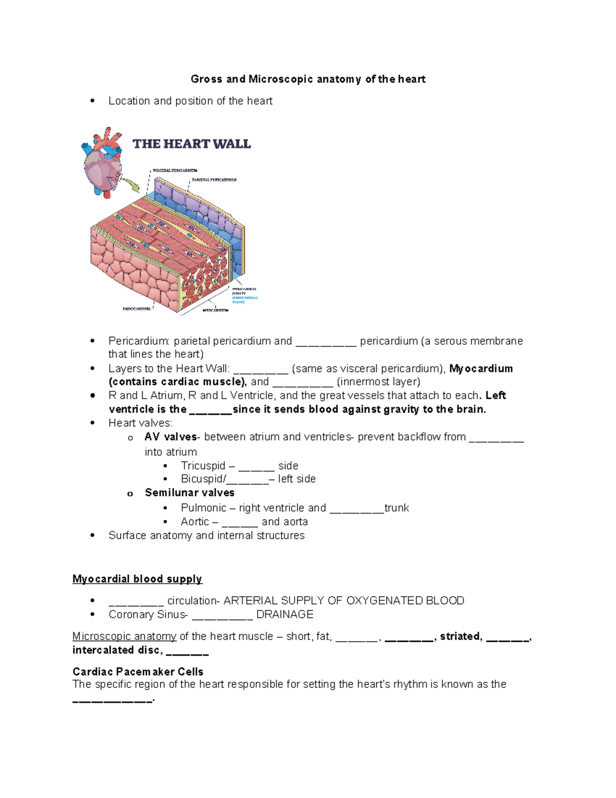 BIOS255 Week 2 Worksheet - Gross and Microscopic Anatomy of the Heart ...